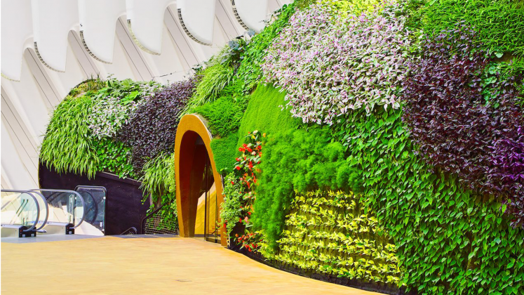 El jardín vertical más grande de Europa está en Valencia