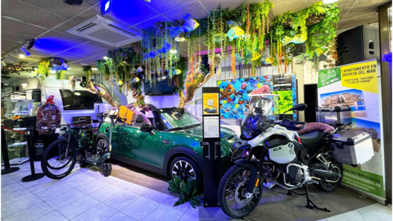 El cestón de los abetos: Casi 300.000 euros en premios