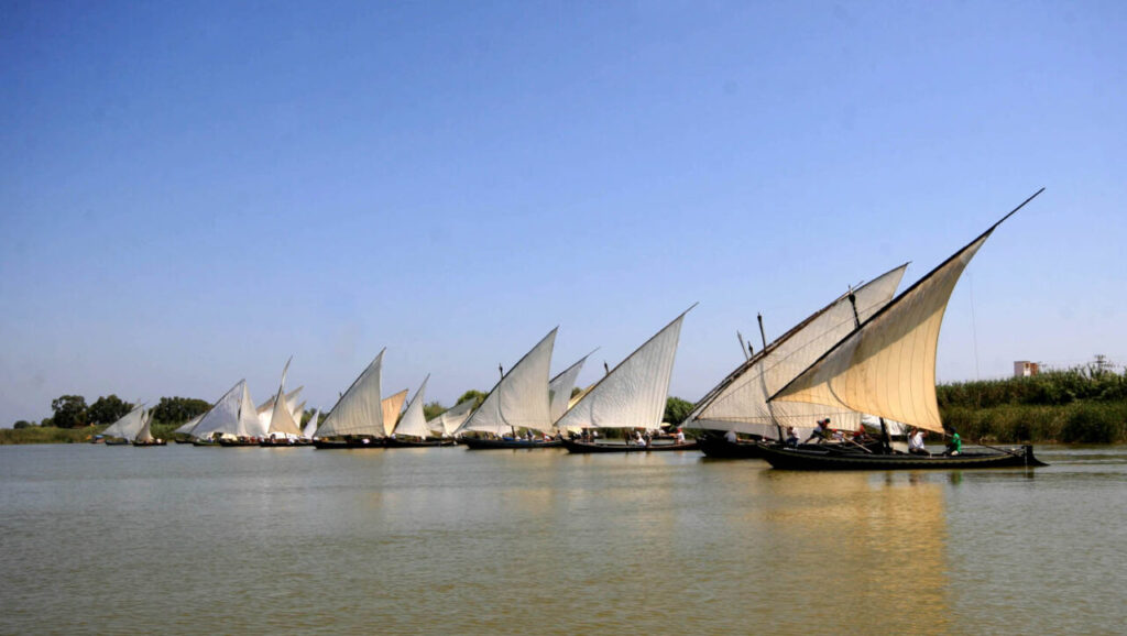 La vela latina vuelve a la Albufera con sus exhibiciones 2026